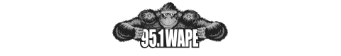 95.1 WAPE | Jacksonville's #1 Hit Music Station – 95.1 WAPE
